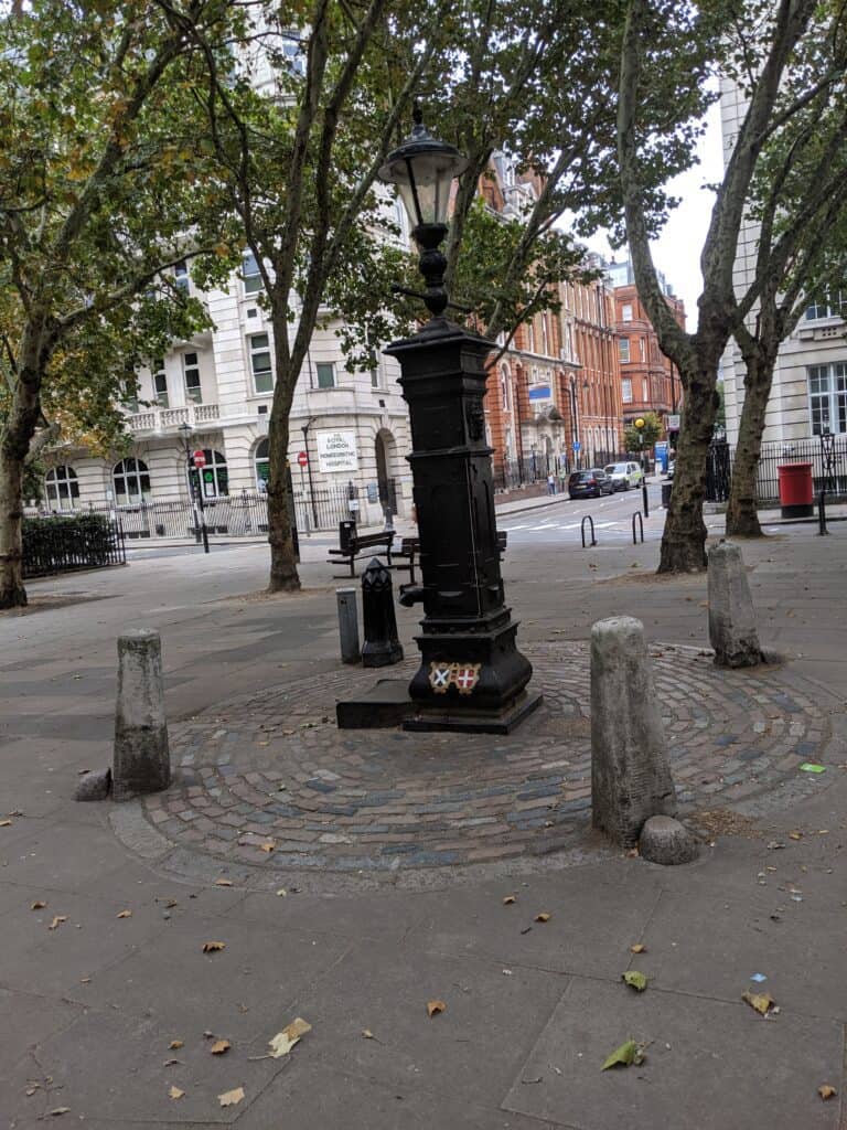 Queen Square: a medical miscellany – Camden Guides