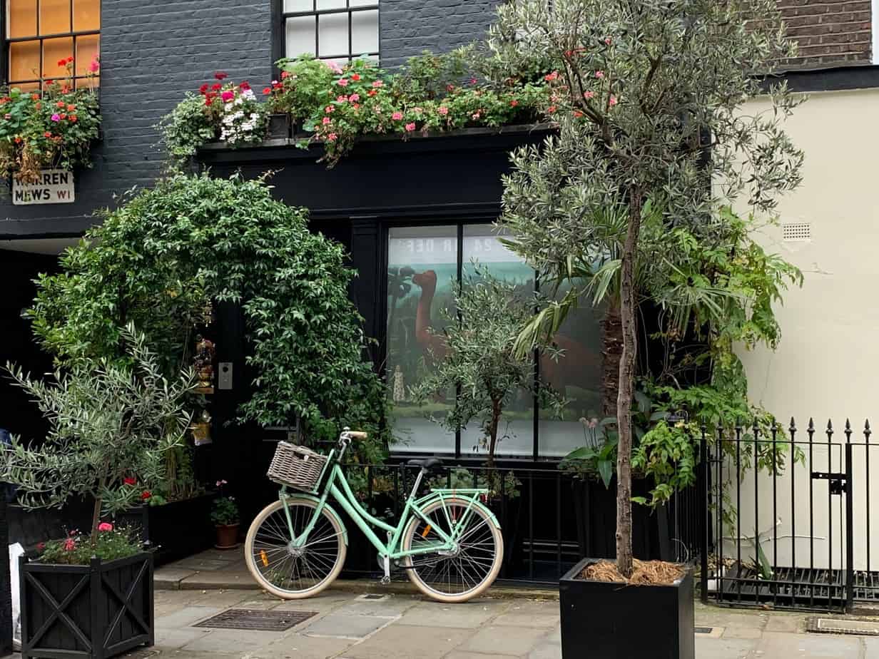The Street Trees of Camden – Camden Guides